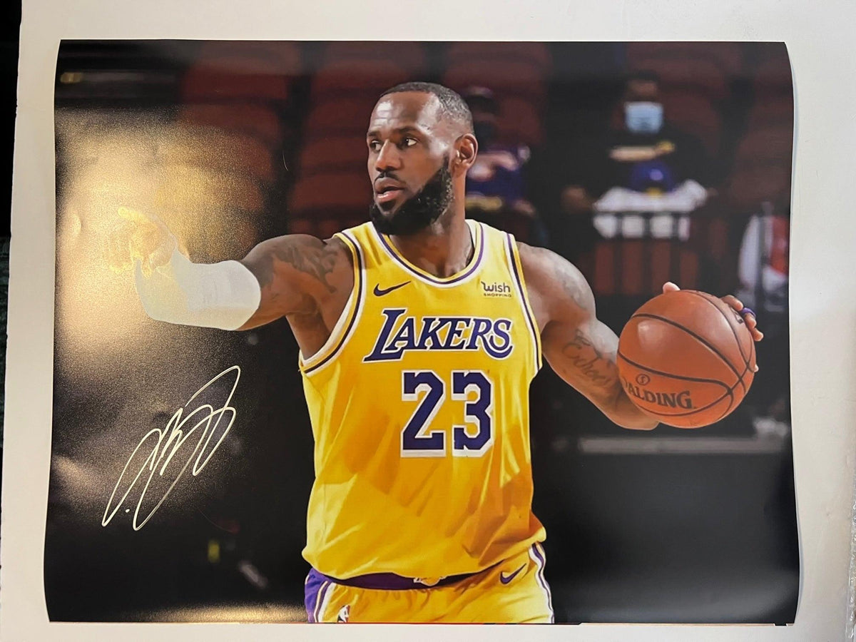 LeBron James Los Angeles Lakers 16x20 photograph signed with proof ...