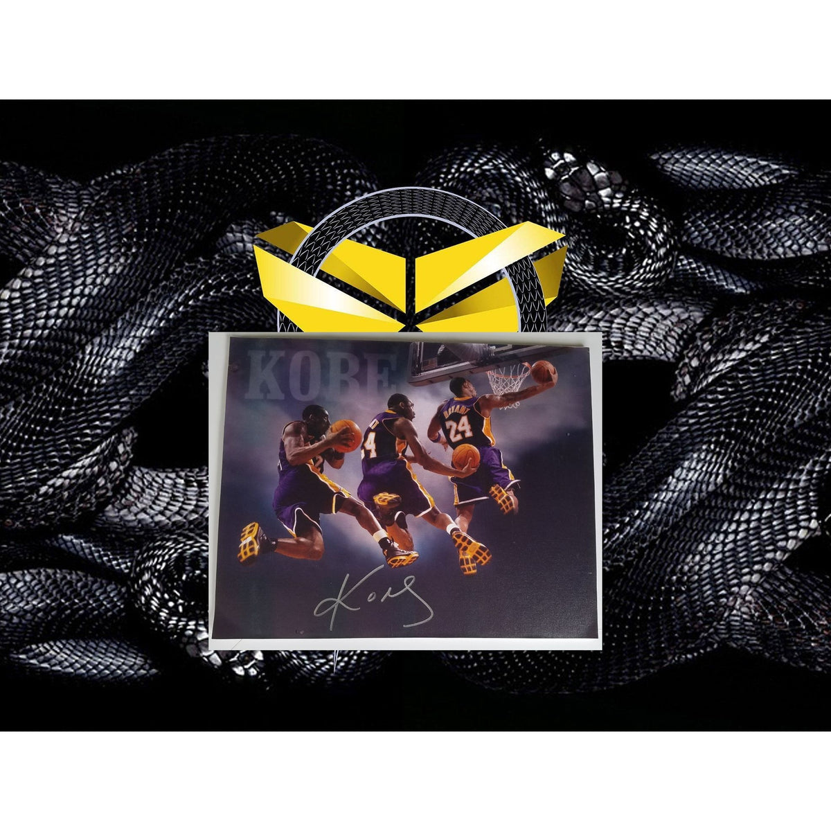 Kobe Bryant 16x20 mounted photo signed with proof – Awesome Artifacts